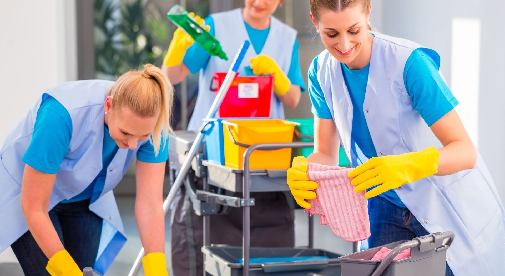 16 Reasons to Hire Professionals for Home Cleaning from Sil All ...